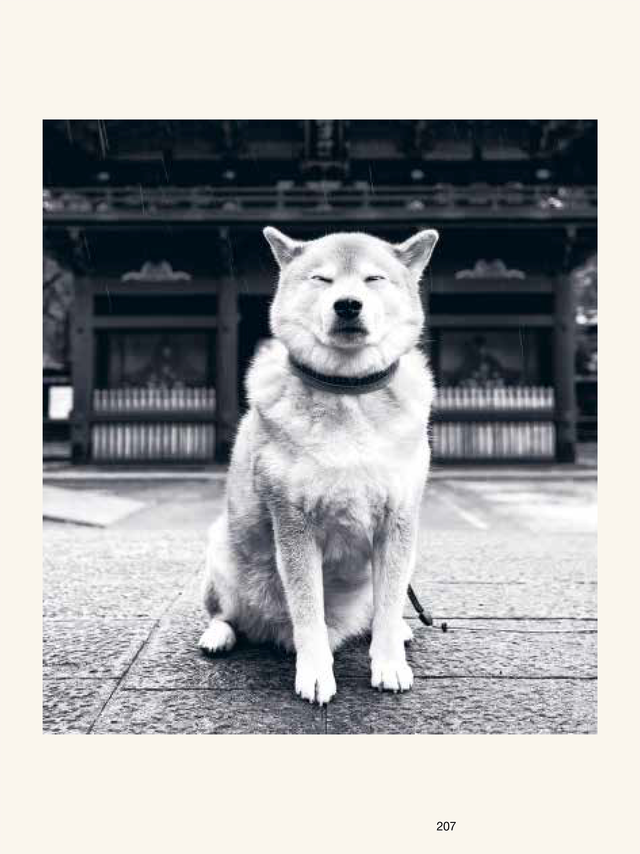 The Monocle Book of Japan - Print - Shop - Monocle