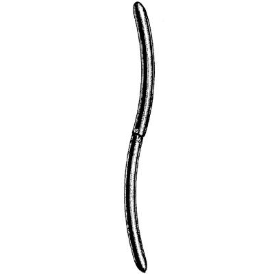 90-4810 Sklar Hegar Uterine Dilator | Sklar Corporation